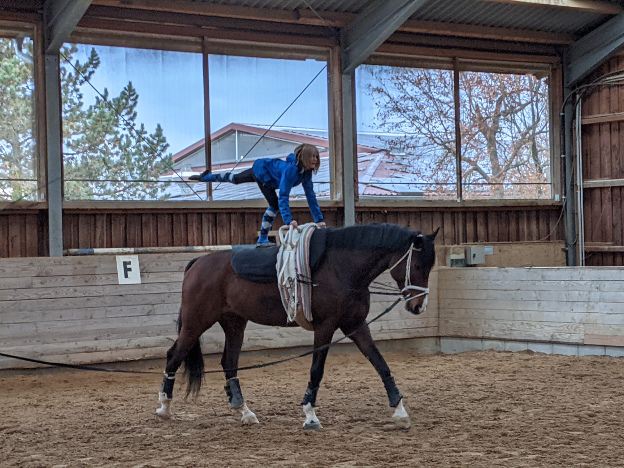 Pferde & Gruppen - Voltigier- und Pferdesportverein Ĉevalo Böblingen e.V.