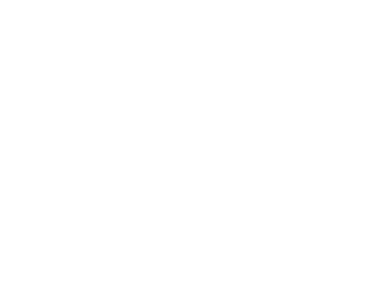 Voltigier- und Pferdesportverein Ĉevalo Sindelfingen e.V.