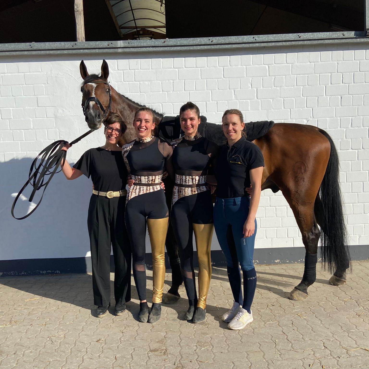 News - Voltigier- und Pferdesportverein Ĉevalo Sindelfingen e.V.